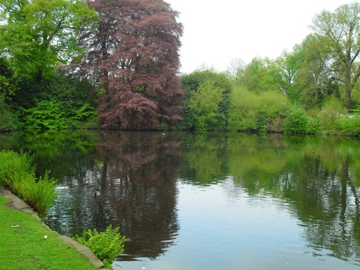 Dunham Massey - Dunham Park - Woodland Trust