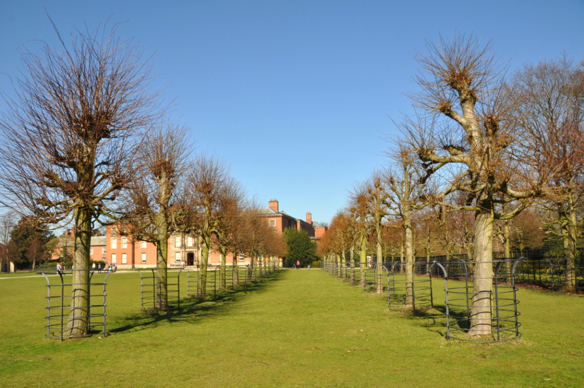 Dunham Massey - Dunham Park - Woodland Trust
