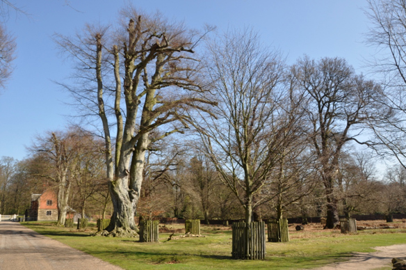 Dunham Massey - Dunham Park - Woodland Trust