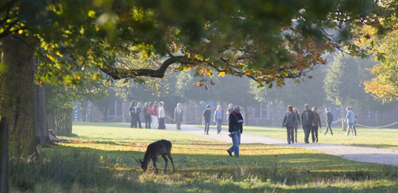 Dunham Massey - Dunham Park - Woodland Trust