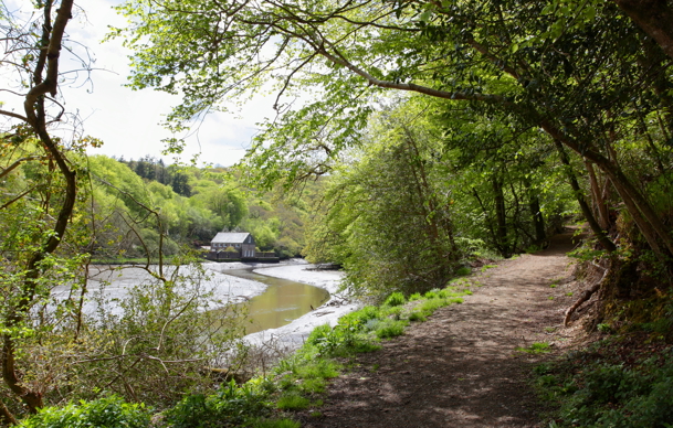 Fowey & East Cornwall - Lerryn - Woodland Trust