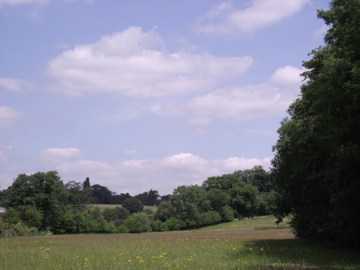 Hawkwood And Petts Wood - Woodland Trust