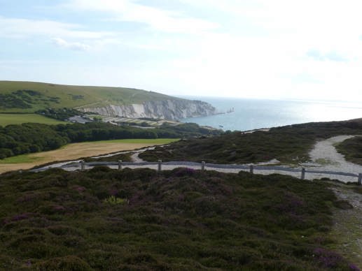 Headon Warren & West High Down - Woodland Trust