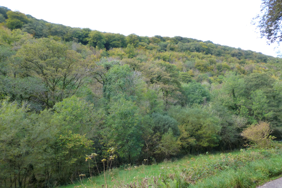 Heddon Valley - Woodland Trust