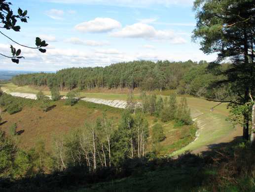 Hindhead Commons - Woodland Trust