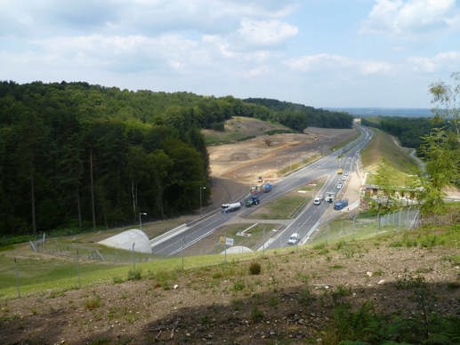 Hindhead Commons - Woodland Trust