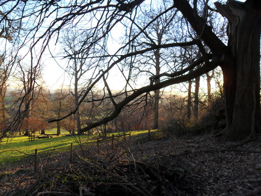 Killerton Estate - Killerton Park - Woodland Trust