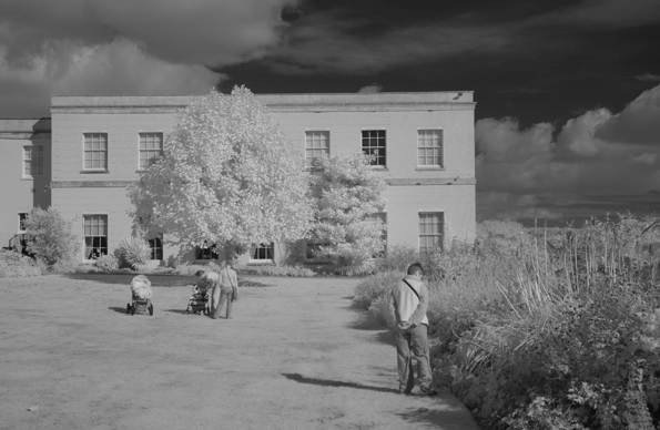 Killerton Estate - Killerton Park - Woodland Trust