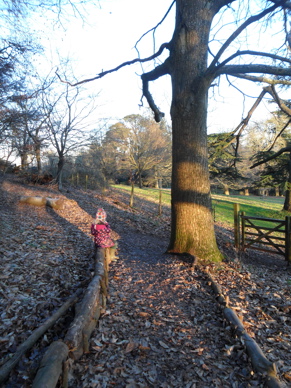 Killerton Estate - Killerton Park - Woodland Trust