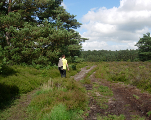 Lavington Common - Woodland Trust