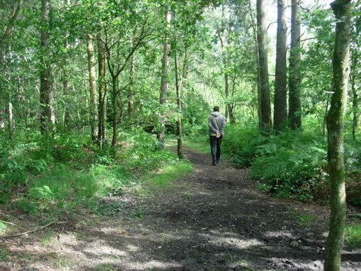 Lavington Common - Woodland Trust