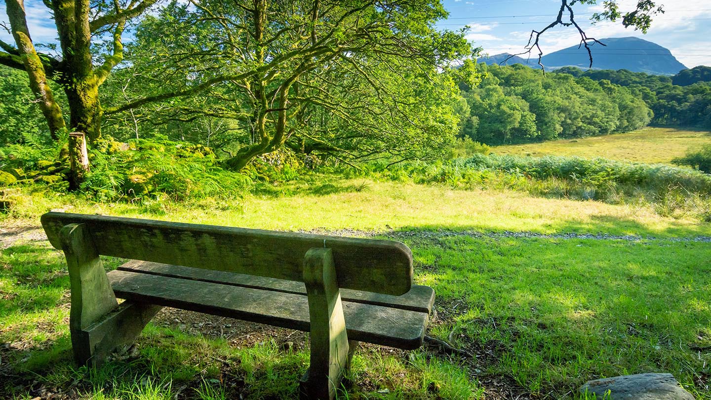 Coed Cymerau Isaf - Visiting Woods - Woodland Trust