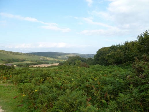 Mottistone Common - Woodland Trust