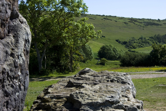 Mottistone Common - Woodland Trust