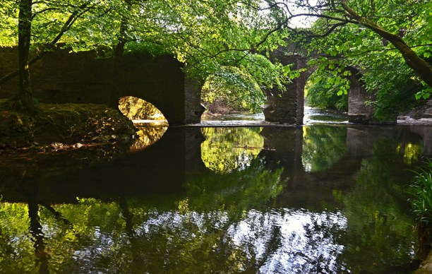 Plymbridge Woods - Woodland Trust