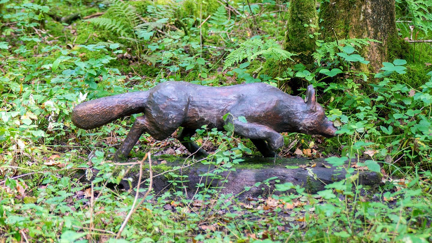Coed Tregib - Visiting Woods - Woodland Trust