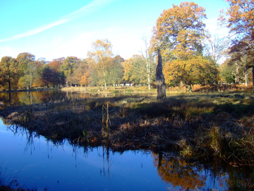 Tatton Park - Woodland Trust