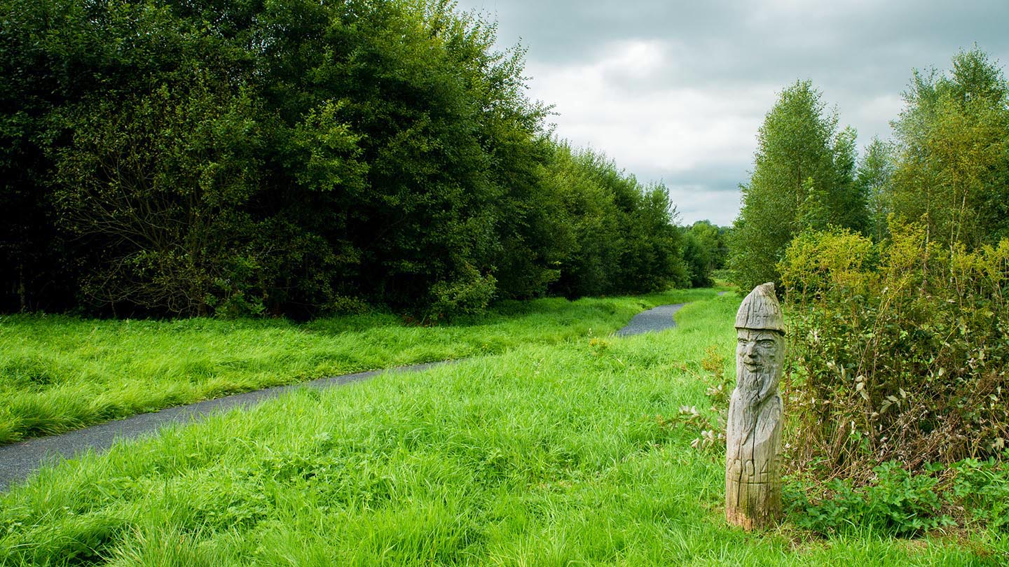 Coed Tregib - Visiting Woods - Woodland Trust