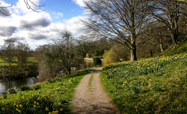 The Weir - Woodland Trust