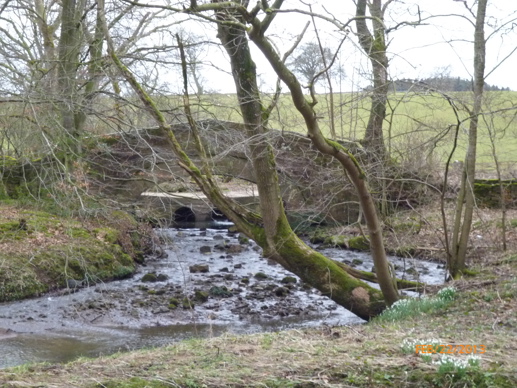 Wallington Estate - Woodland Trust