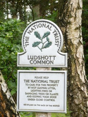 Ludshott Common and Waggoner's Wells - Woodland Trust