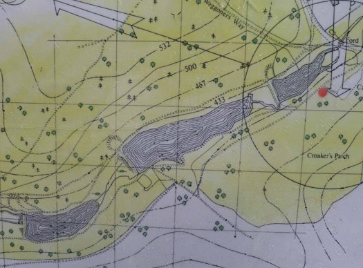 Ludshott Common and Waggoner's Wells - Woodland Trust