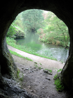 Dovedale NNR - Dovedale Wood - Woodland Trust