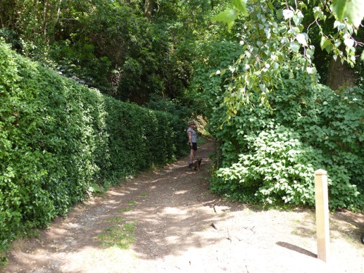 Lee Hills - Woodland Trust