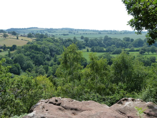 Lee Hills - Woodland Trust