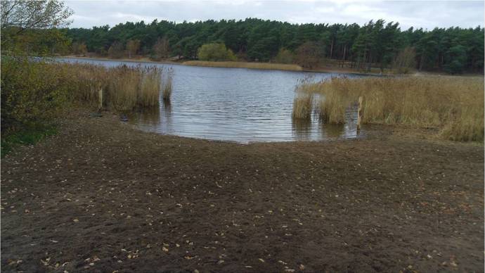 Frensham Common - Woodland Trust