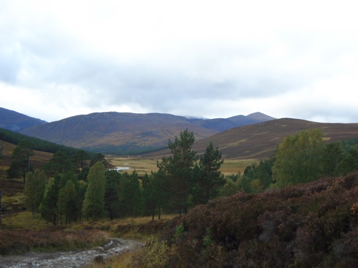Mar Lodge Estate - Woodland Trust