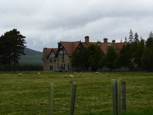Mar Lodge Estate - Woodland Trust