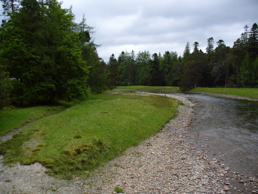 Mar Lodge Estate - Woodland Trust
