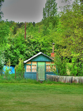 Swithland Wood - Woodland Trust