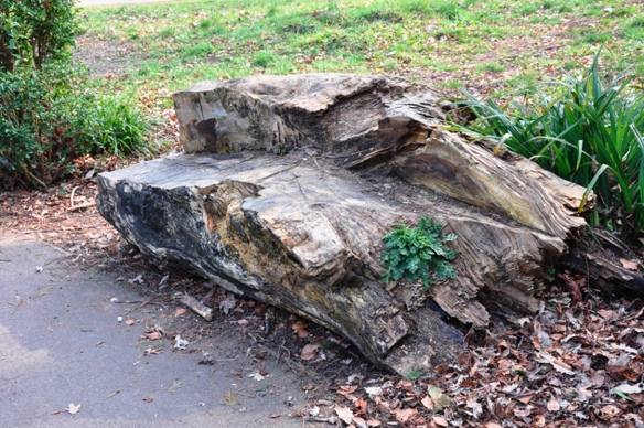 Court Hey Park - Woodland Trust