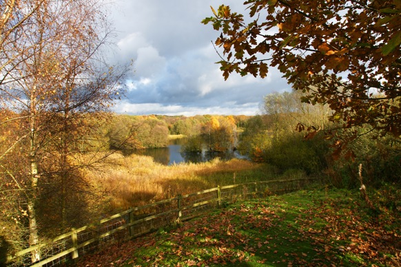Moore Nature Reserve - Woodland Trust