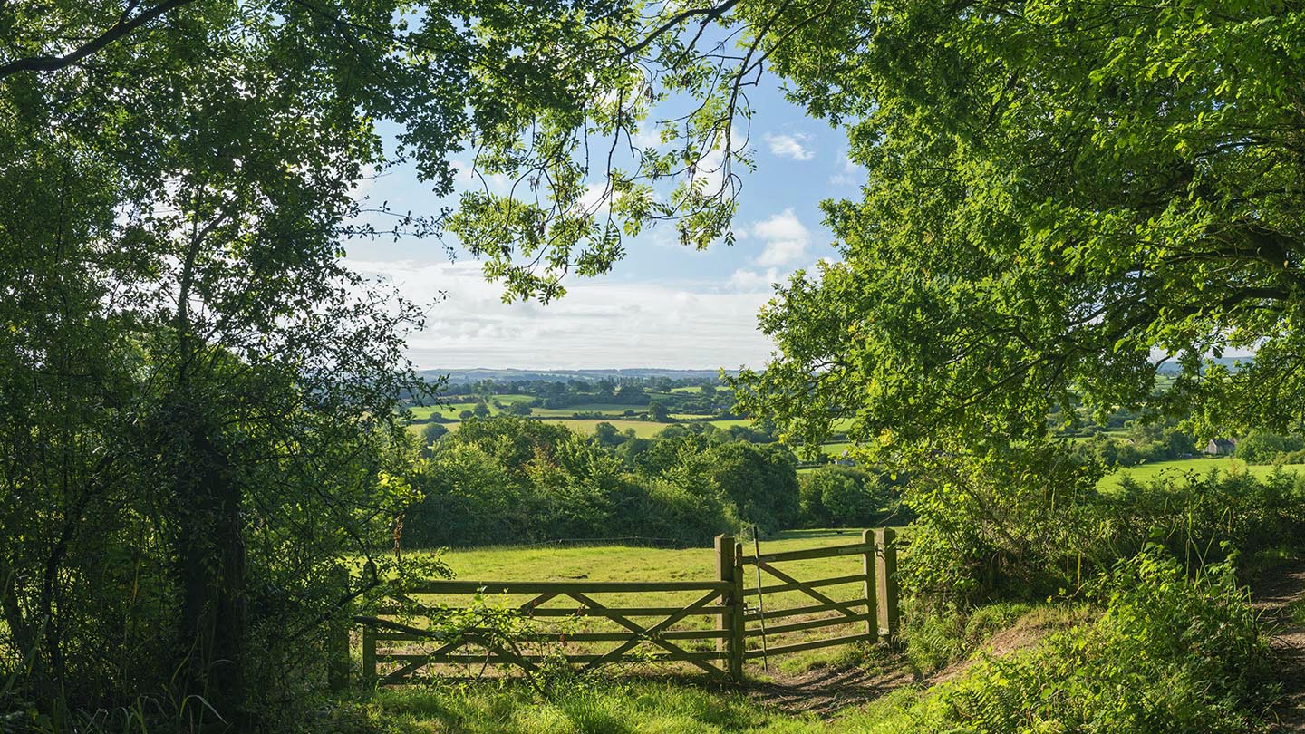 Duncliffe Wood - Visiting Woods - Woodland Trust