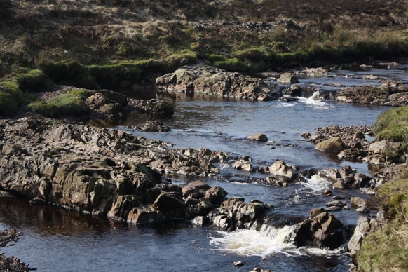 Muirshiel Centre - Woodland Trust