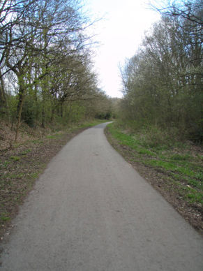 Halewood Park Triangle - Woodland Trust