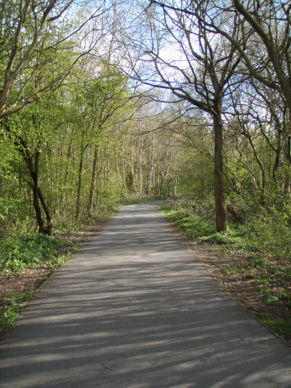 Halewood Park Triangle - Woodland Trust