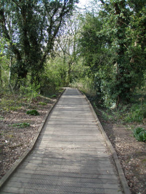 Halewood Park Triangle - Woodland Trust