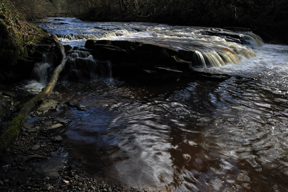 Clyde Valley Woodlands National Nature Reserve - Woodland Trust