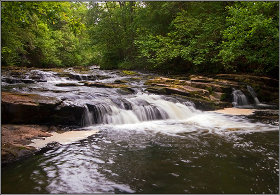 Clyde Valley Woodlands National Nature Reserve - Woodland Trust