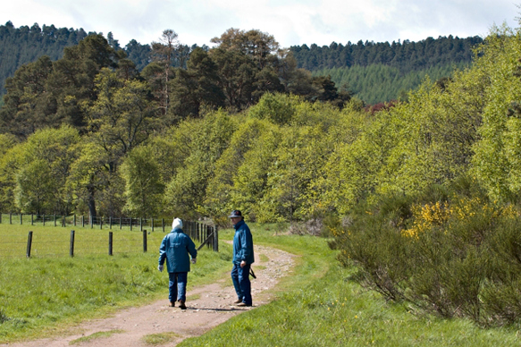 Glen Tanar National Nature Reserve - Woodland Trust