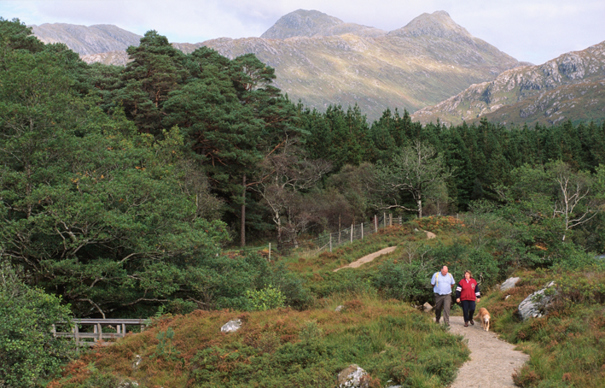 Ariundle Oakwood National Nature Reserve - Woodland Trust