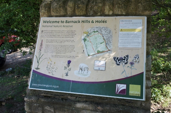 Barnack Hills and Holes NNR - Woodland Trust