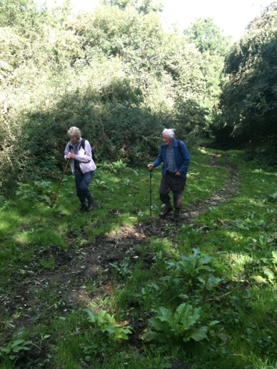 Cassop Vale NNR - Woodland Trust