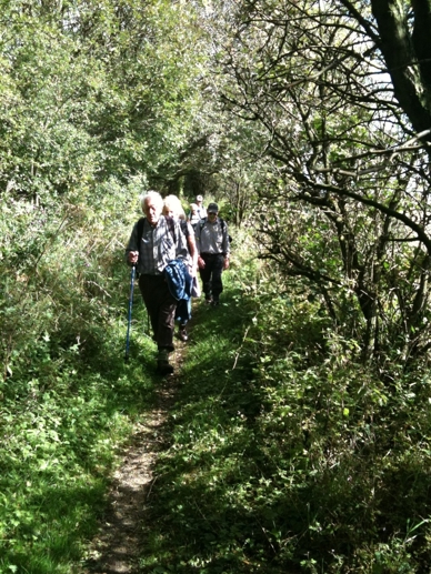 Cassop Vale NNR - Woodland Trust
