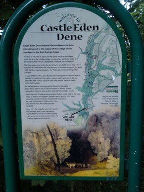 Castle Eden Dene NNR - Woodland Trust