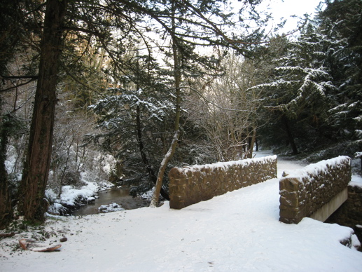 Castle Eden Dene NNR - Woodland Trust